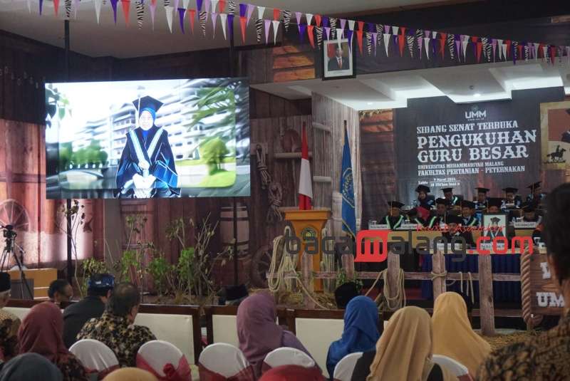 Mendiang Prof. Matfuchah tetap 'hadir' di hadapan para undangan dengan ...